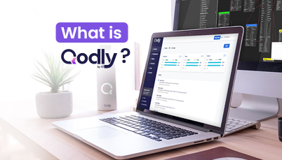 Qodly Blog | Introducing Qodly, the new Low-Code platform